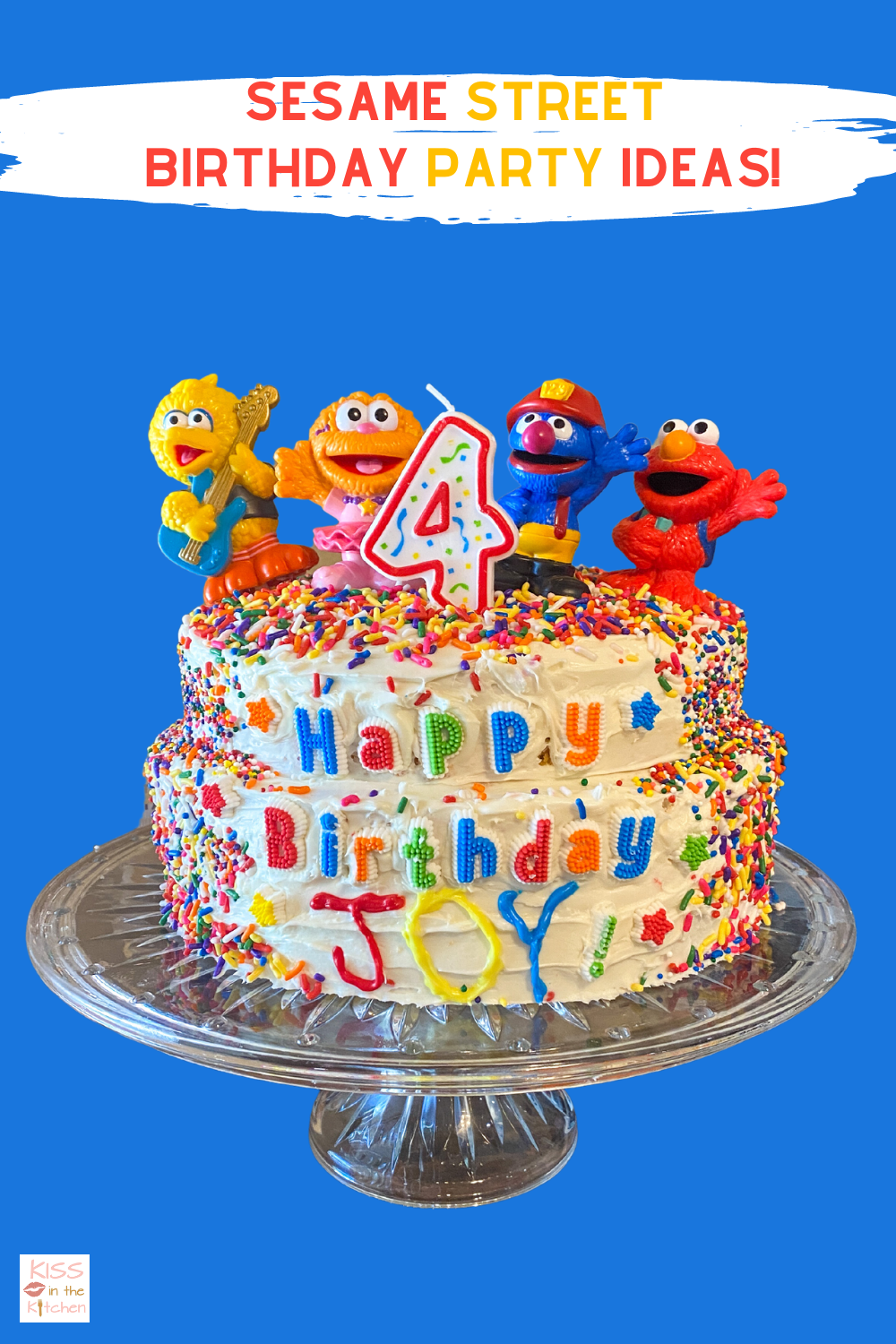 Sesame Street Birthday Party Ideas | KISS in the Kitchen